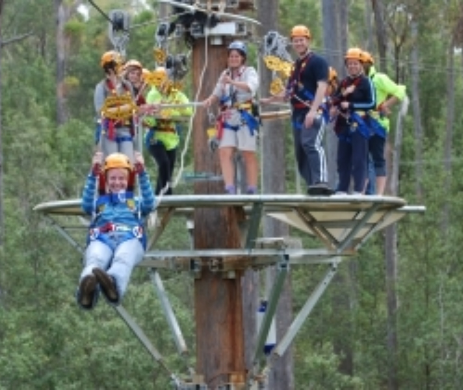 Tassie4Kids | Hollybank Wilderness Adventures
