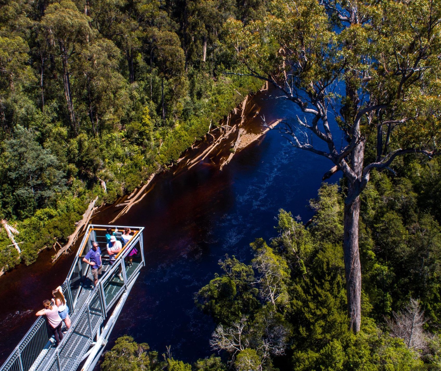 Tassie4Kids | Tahune Adventures Tasmania