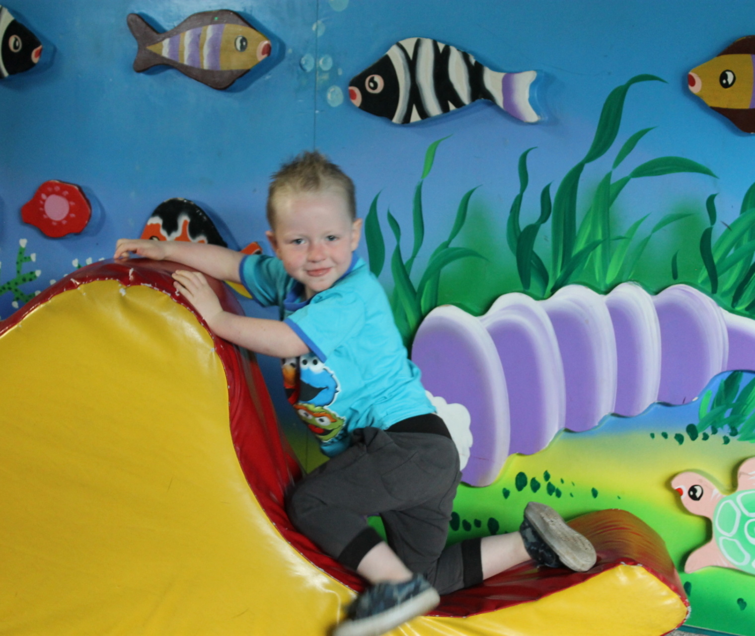 Tassie4Kids | Kids Paradise, Launceston. Perfect for kids under 12 years.