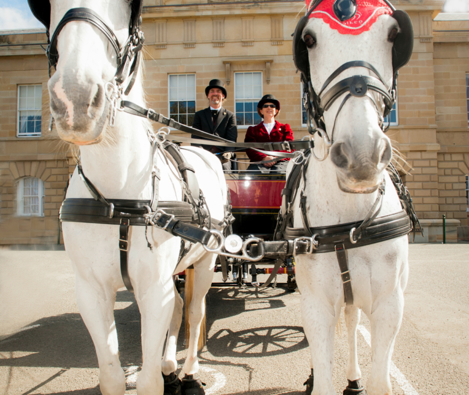 Tassie4Kids | Heritage Horse Drawn Carriages