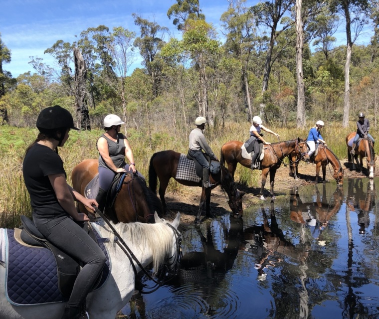 Tassie4Kids | Horseriding Tasmania